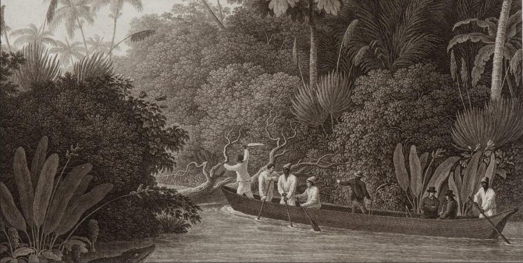 Friedrich Sellow: a morte do botânico alemão em naufrágio no Rio Doce ...