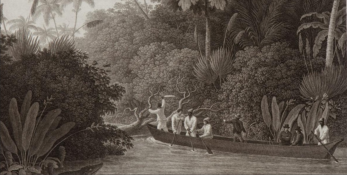 Friedrich Sellow: a morte do botânico alemão em naufrágio no Rio Doce ...