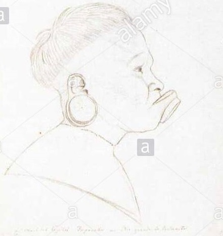 Friedrich Sellow: a morte do botânico alemão em naufrágio no Rio Doce ...