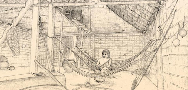 Friedrich Sellow: a morte do botânico alemão em naufrágio no Rio Doce ...